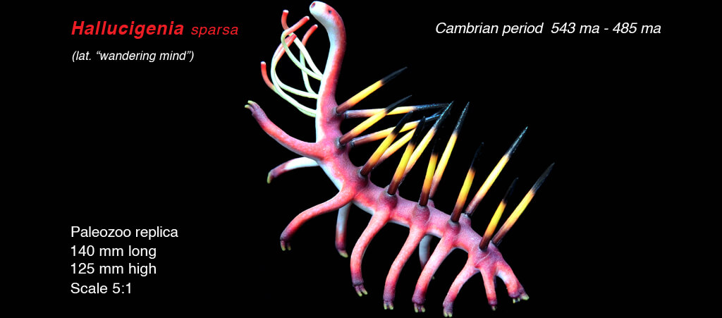 Hallucigenia model from Paleozoo Evolutionary Models